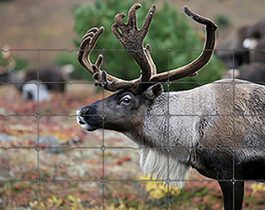 FK MRT - Moreda Riviere Trefilerías. Fabricante de vallas y alambres
